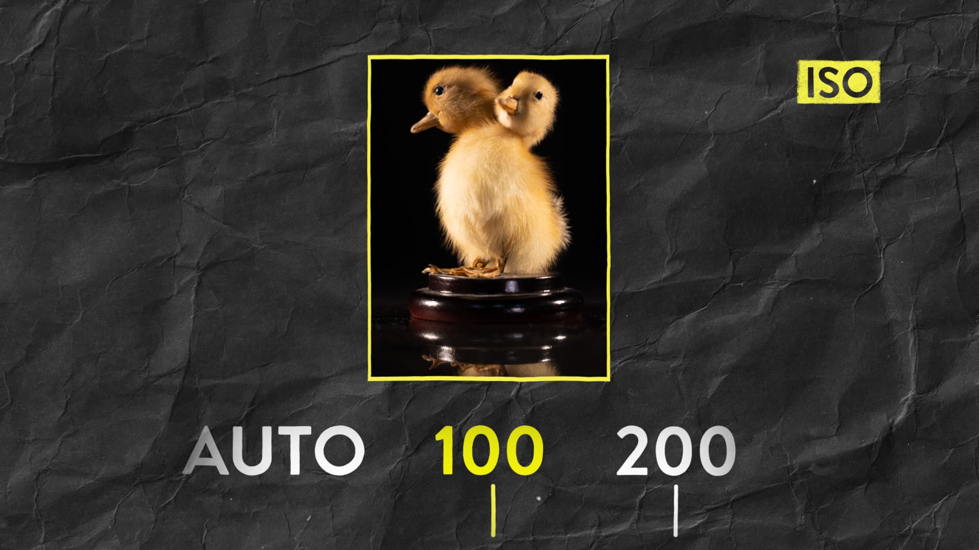 How to use the exposure triangle - RMCAD