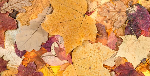 Fall A 2020 Orientation | RMCAD