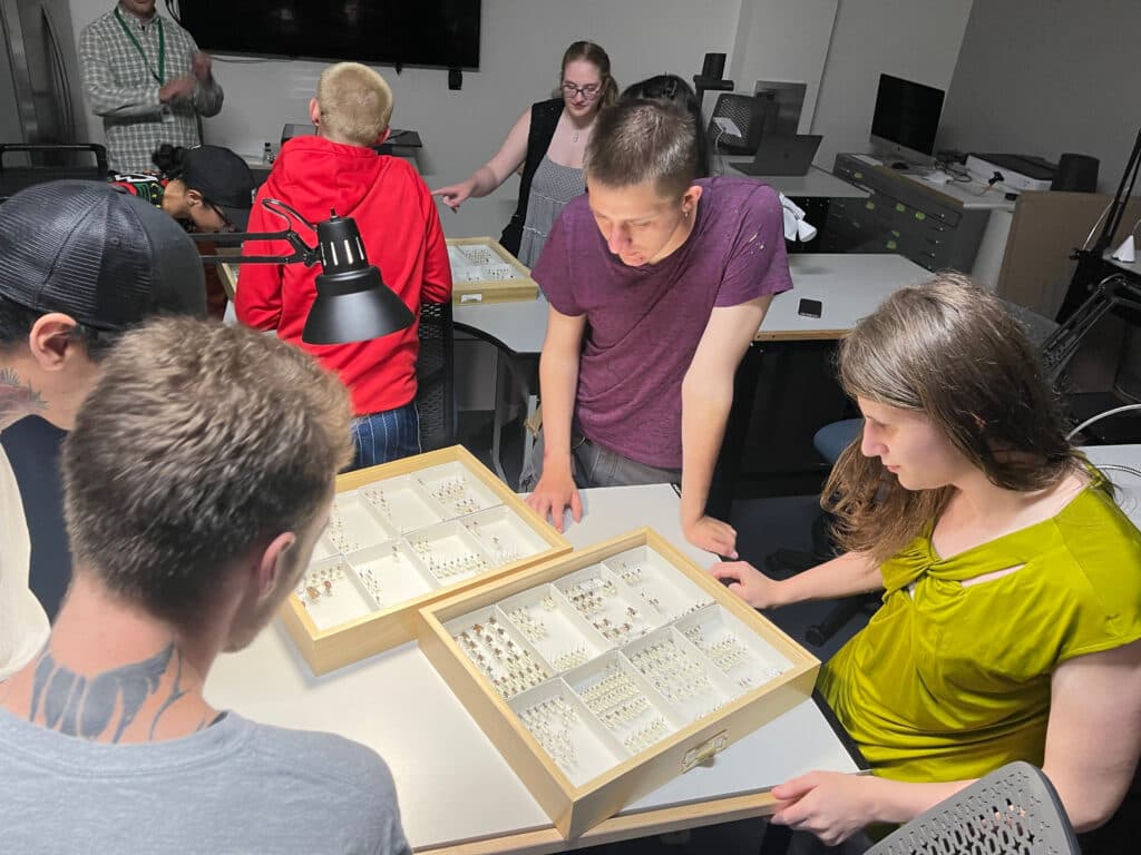 RMCAD class rooted in sustainability partners with Denver Botanic ...