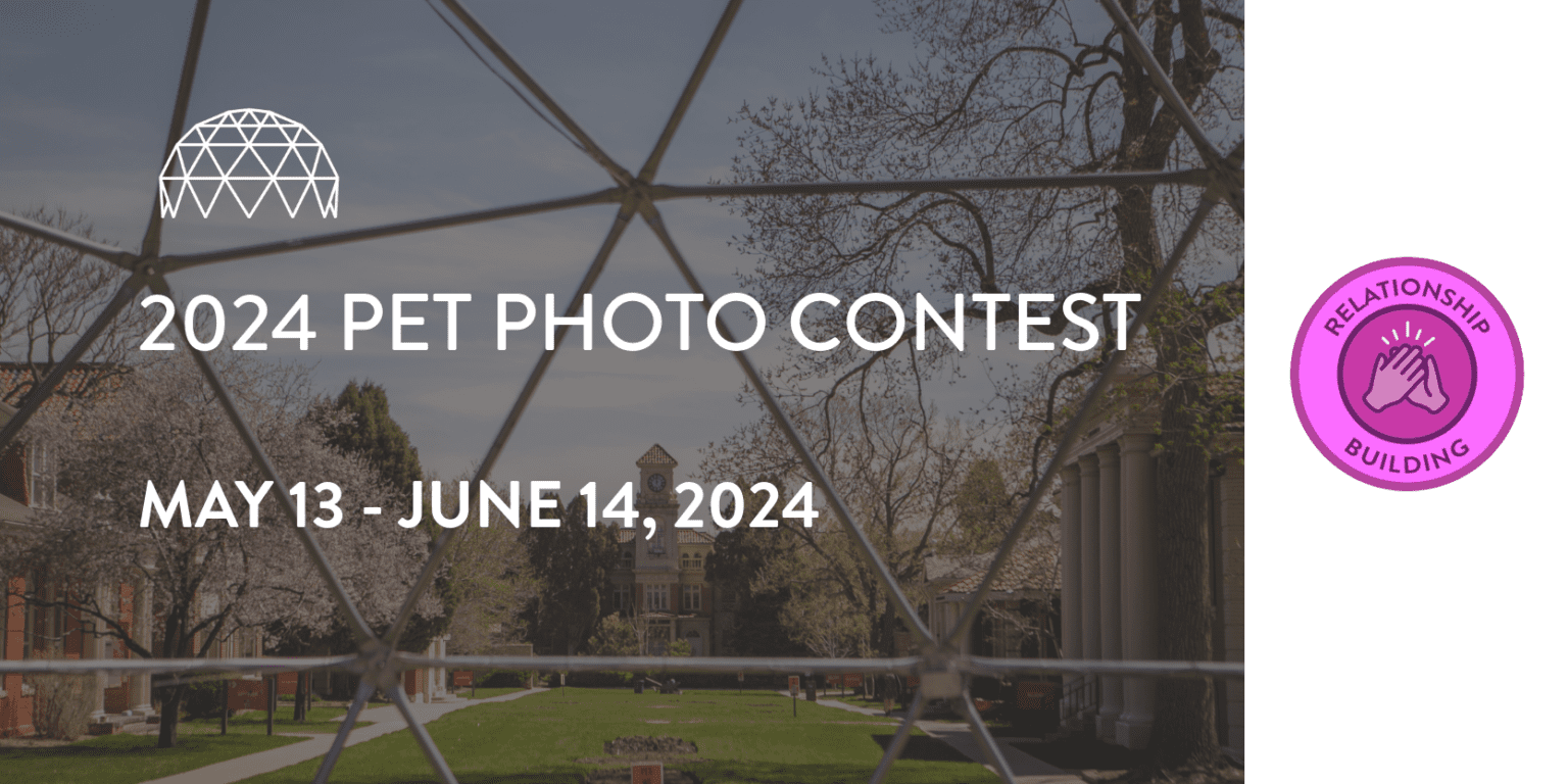 Rocky Mountain College of Art + Design | Creative Design School