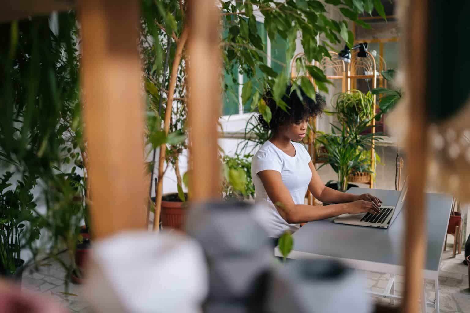 Biophilic Design: Integrating Nature Into Modern Interiors - RMCAD