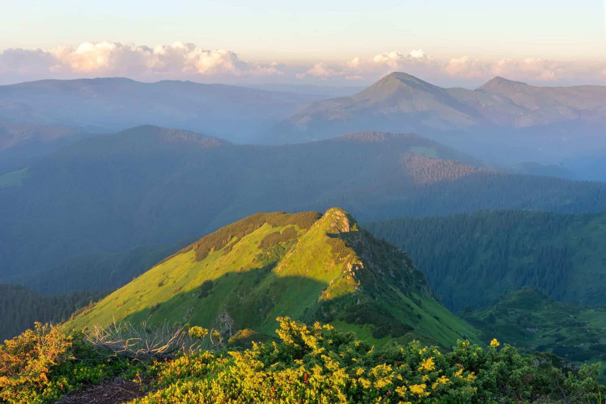 Eco-Photography: Capturing and Conserving Nature - RMCAD