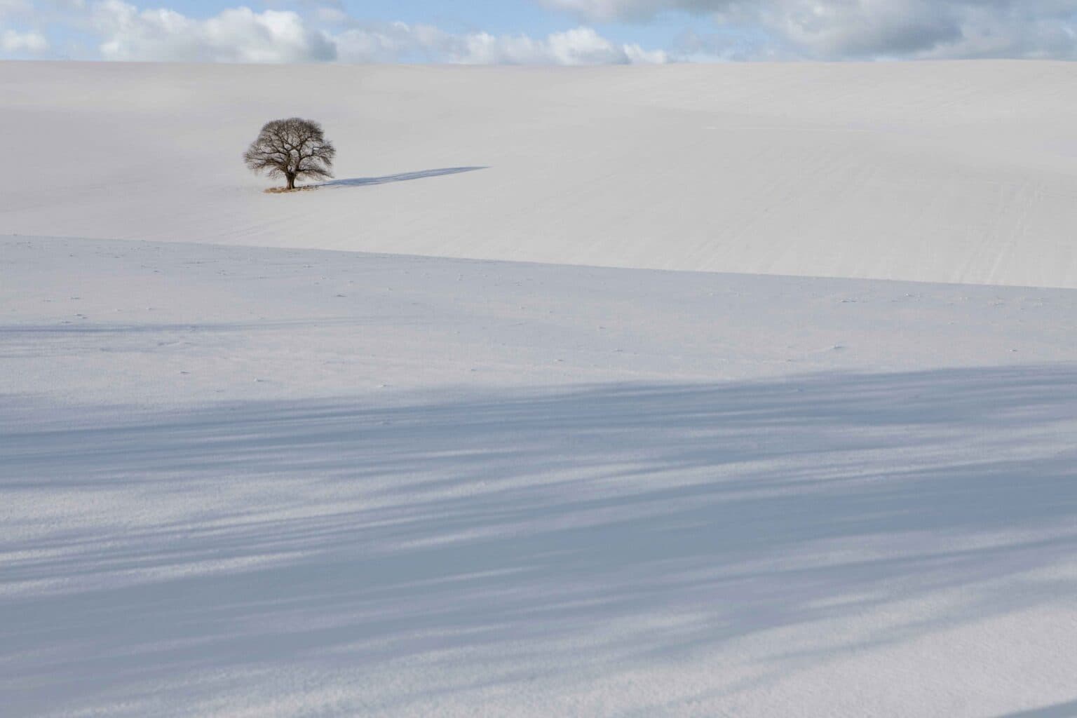 The Role of Composition in Digital Photography: Techniques for Success ...